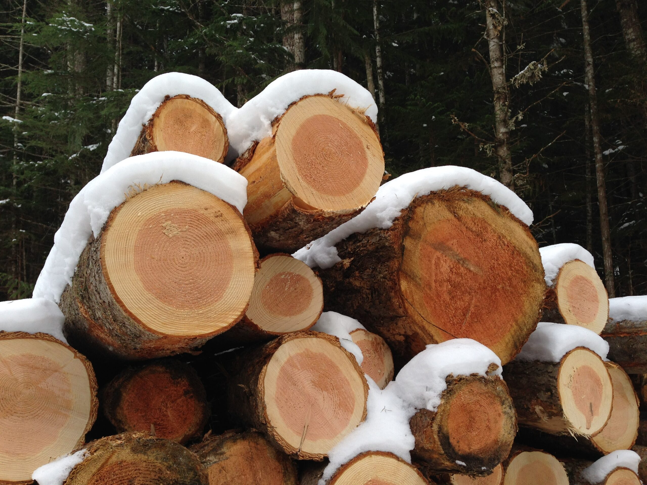Log Products and Manufacturing - Nakusp and Area Community Forest