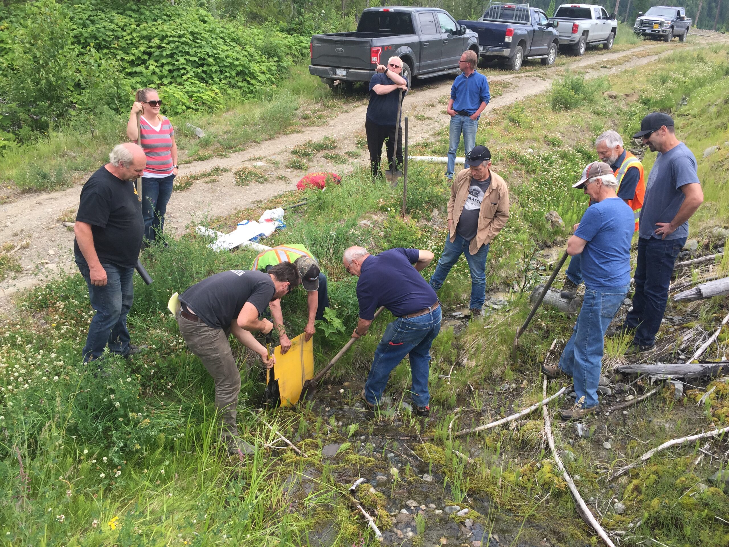 Environmental and Safety Management System - Nakusp and Area Community ...