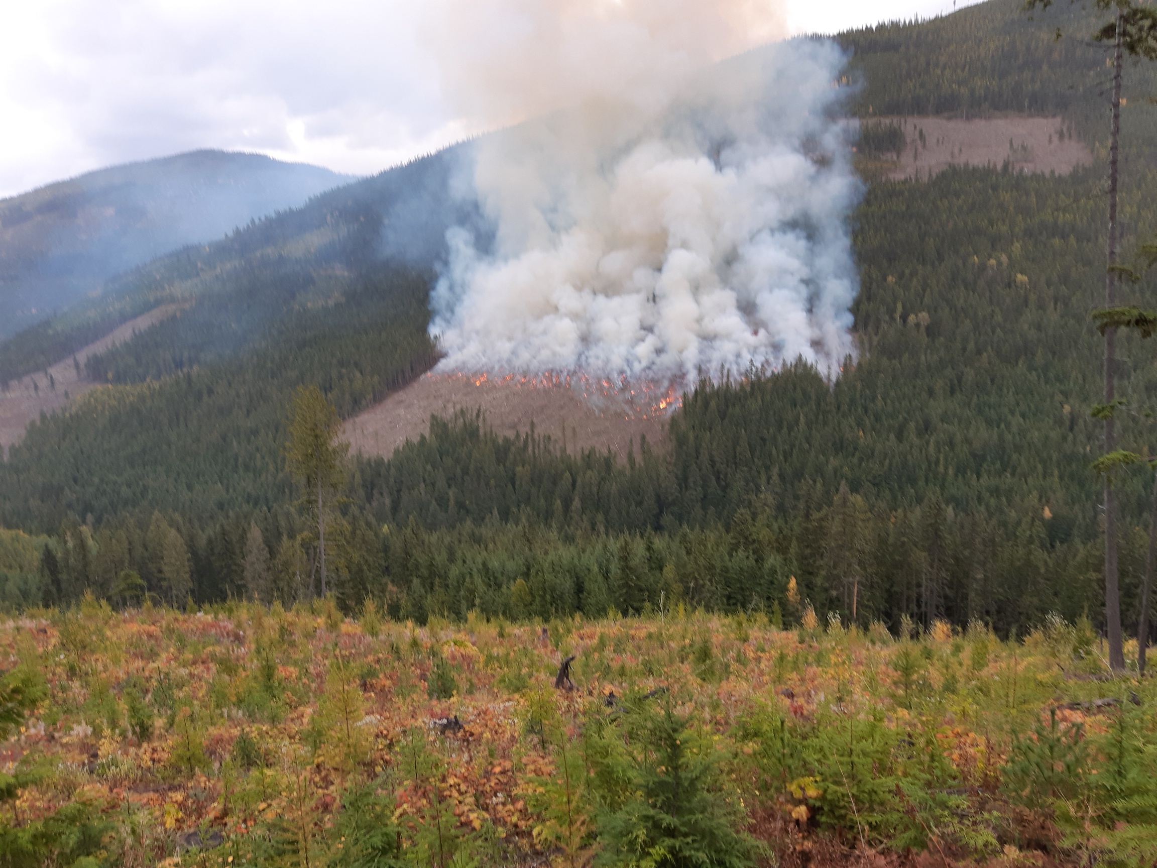 New York Times - BC Wildfire Service Instagram Footage - Nakusp and ...