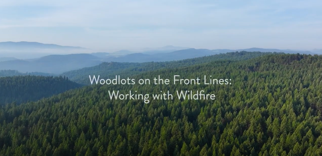BC Woodlots - Wildfire Risk Reduction on the Front Line - Nakusp and ...