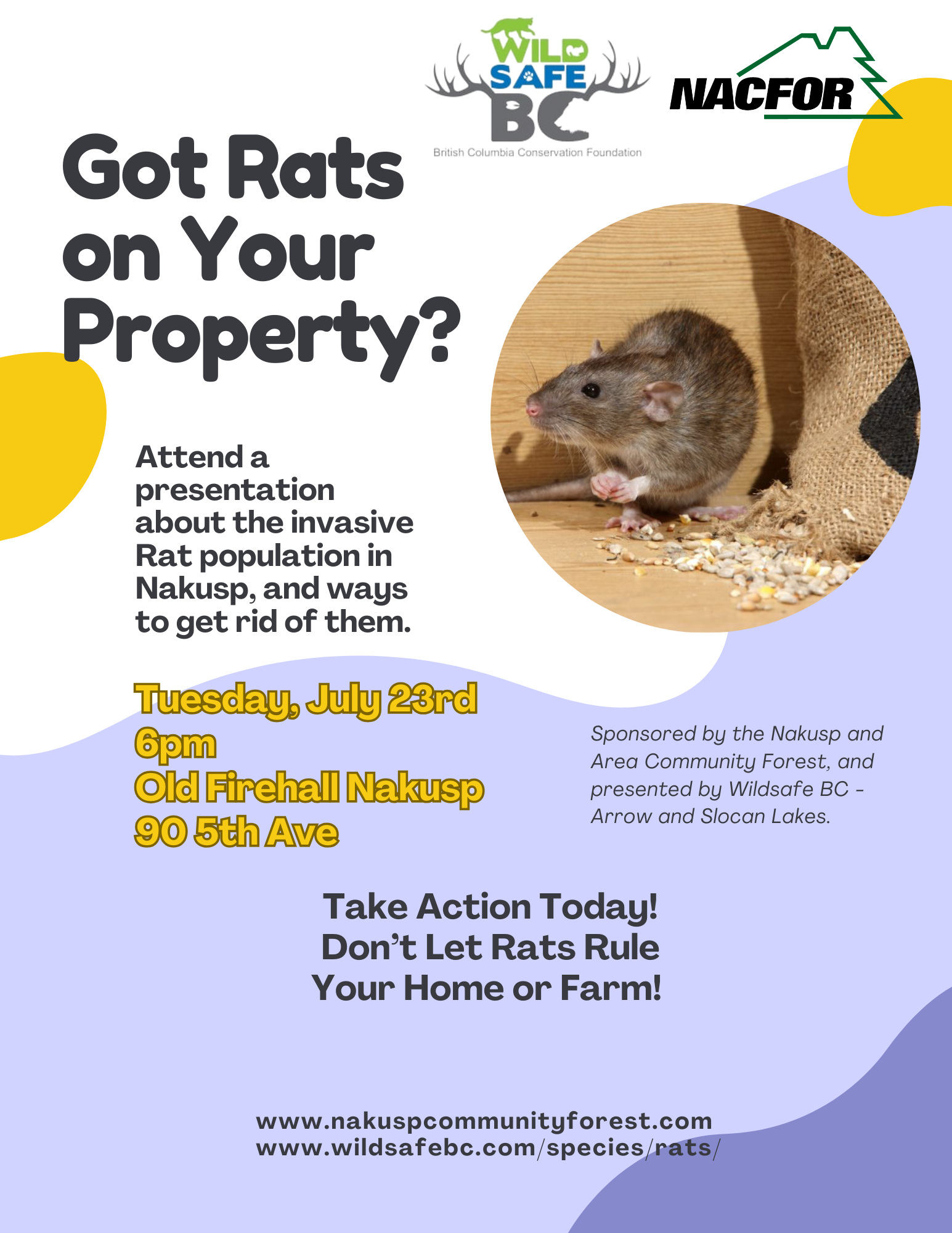 Invasive Rat Population Presentation - Postponed - Nakusp and Area ...