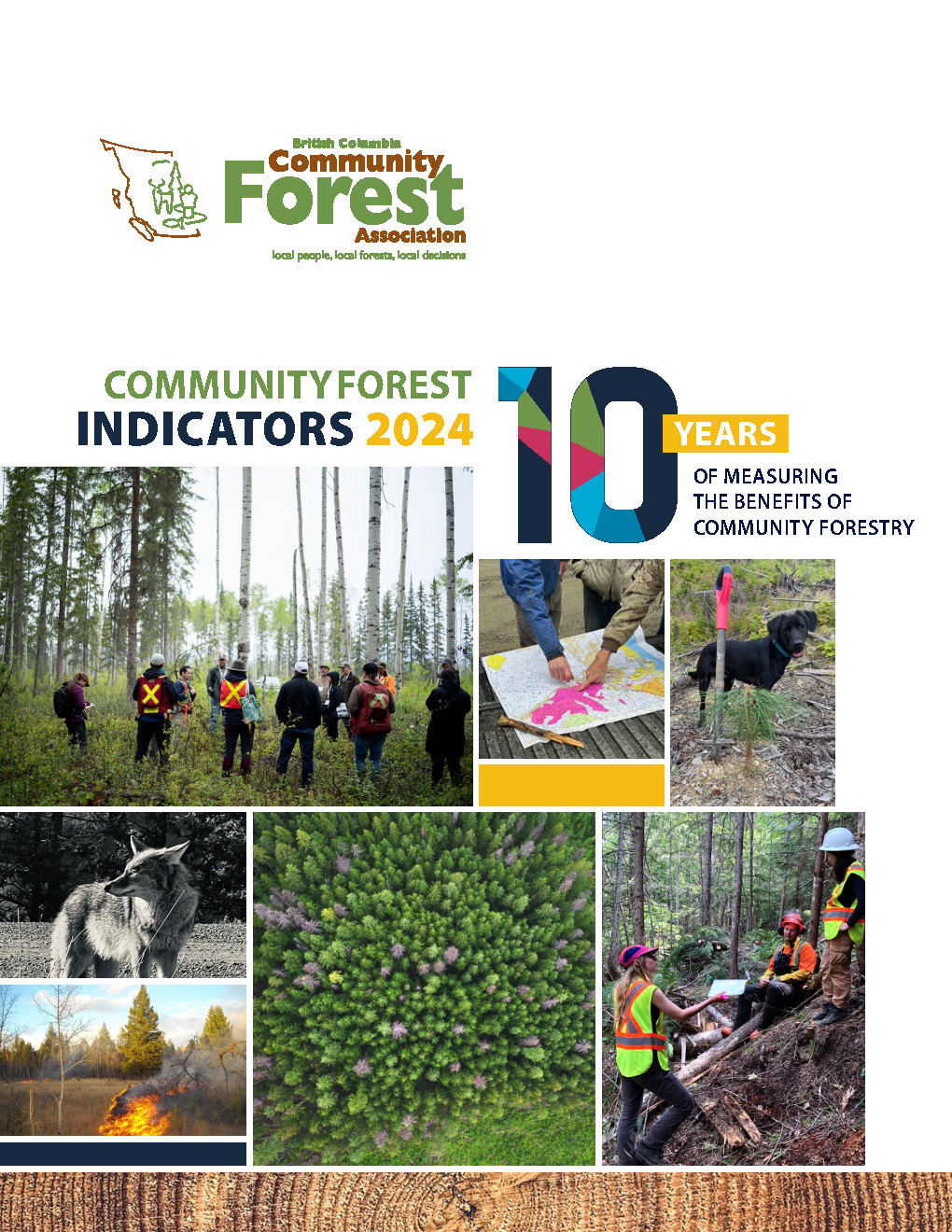 BC Community Forest Association Indicators Report 2024 - Nakusp and ...