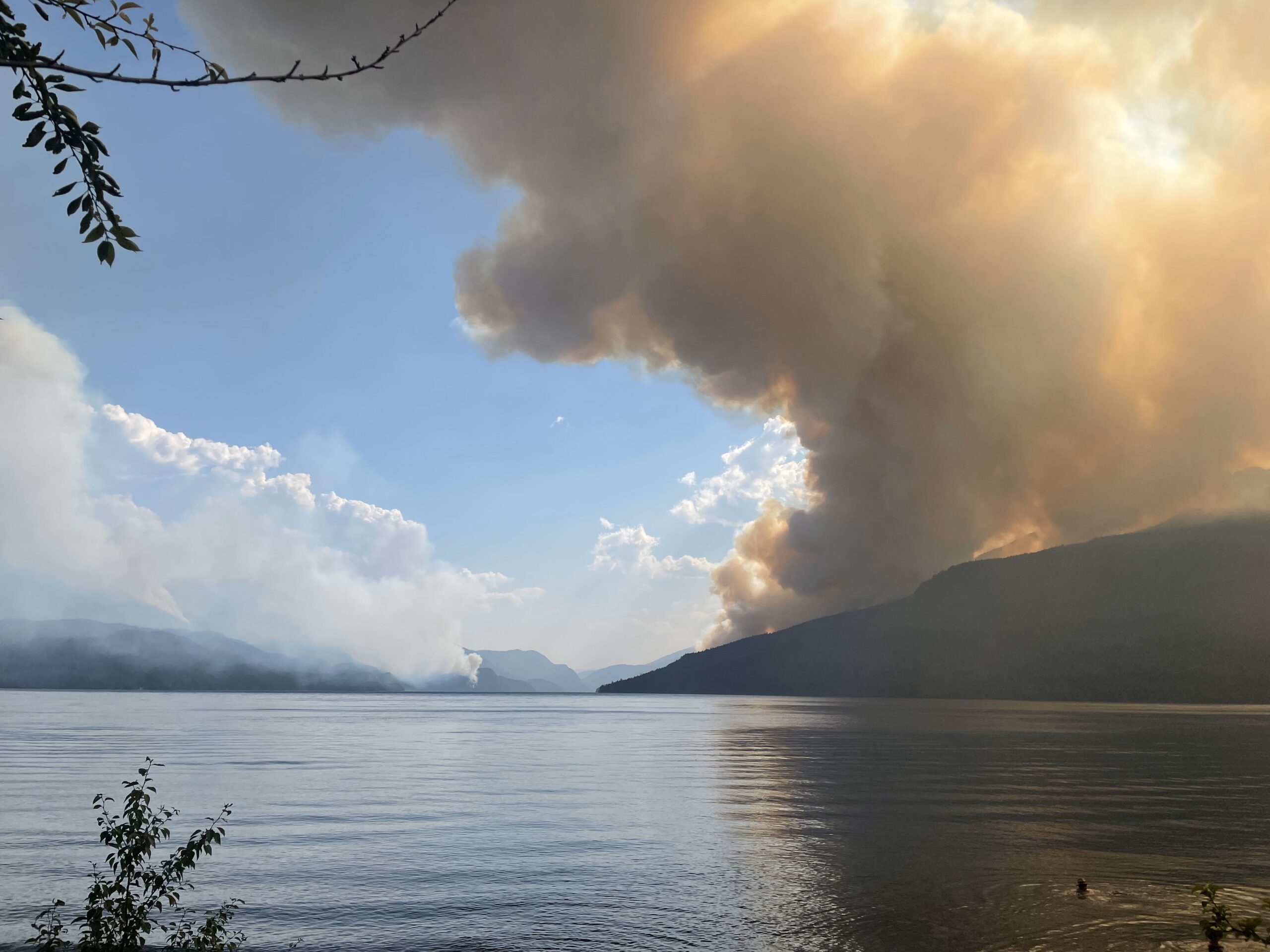 FireSmart Information Session May 7th - Nakusp and Area Community Forest